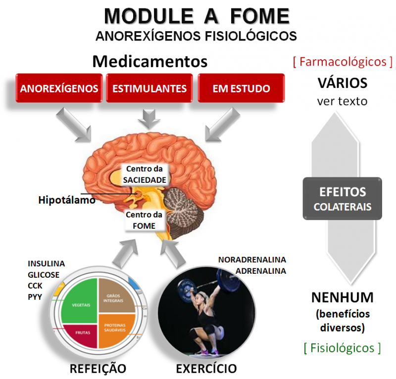 Module sua fome | O Imparcial